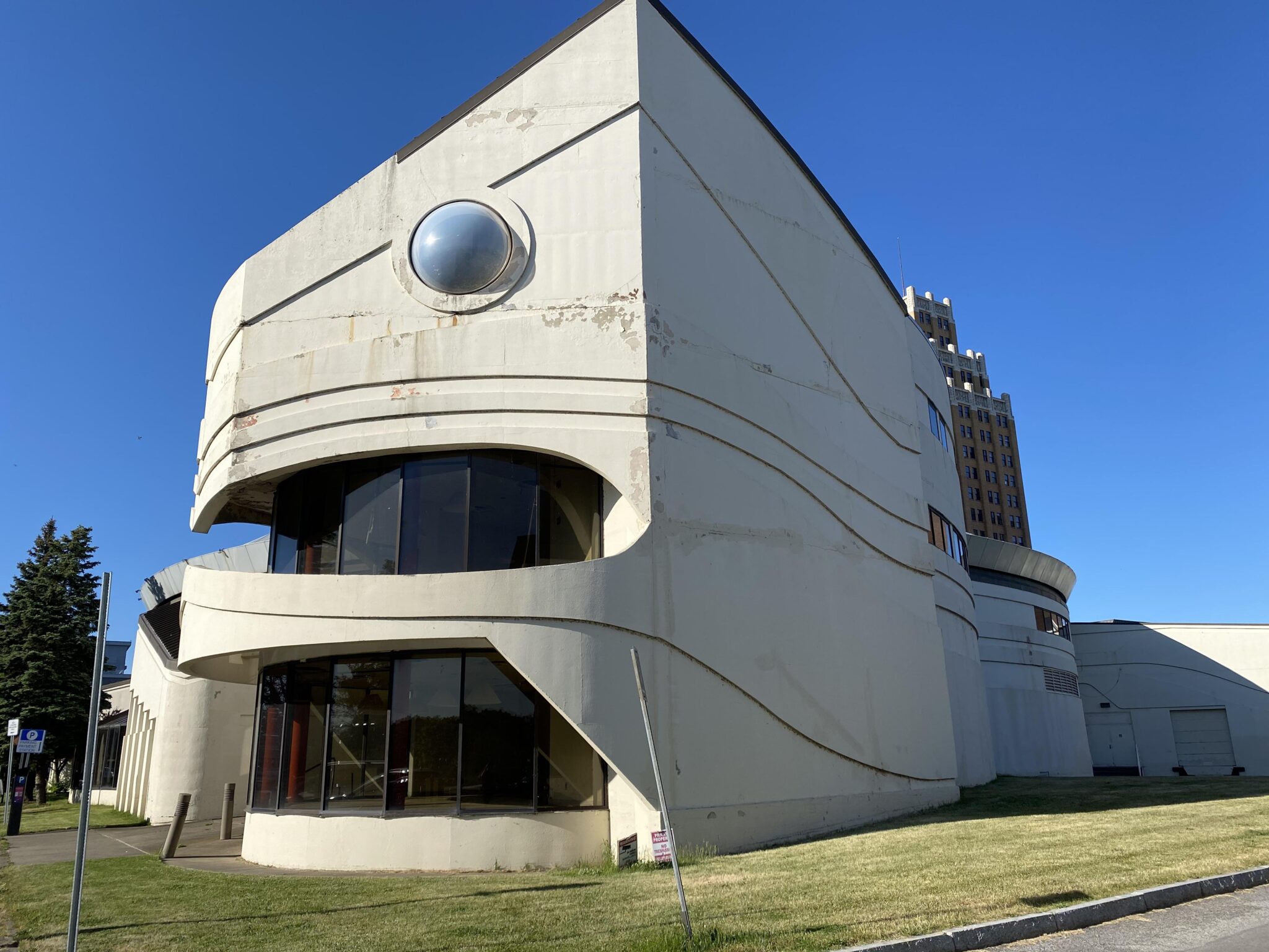 Turtle Power: Slow and Steady Wins the Race - The Niagara Reporter